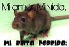 A rata podrida… | panfletonegro